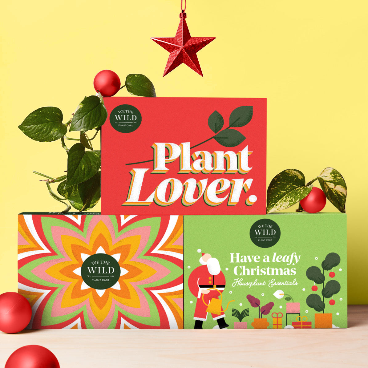 Essential Kits – We The Wild